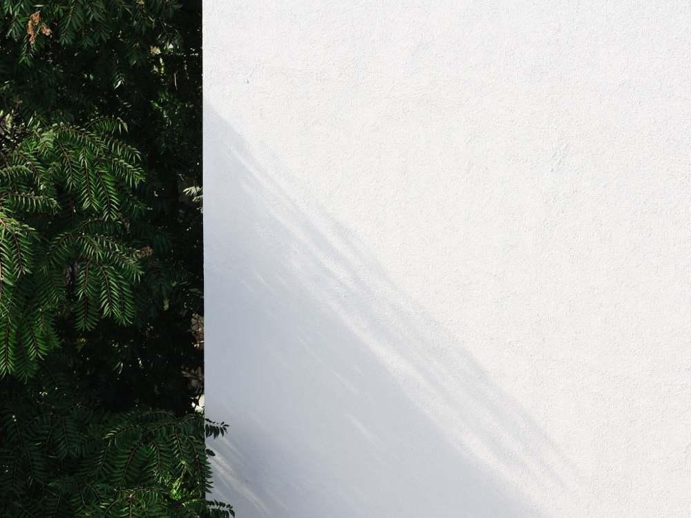 Textured Masonry Paint - The Ultimate Guide | Emperor Paint